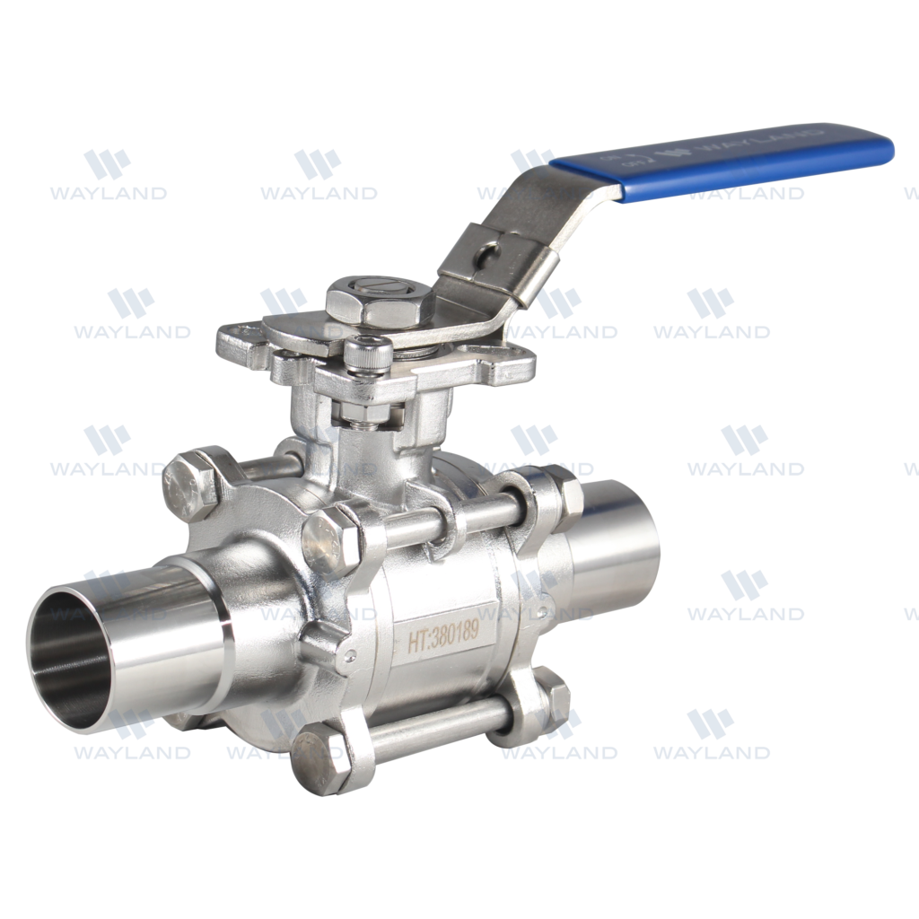 Extended Butt-Weld 3PC Encapsulated 2-Way Ball Valve - PTFE -316L ...