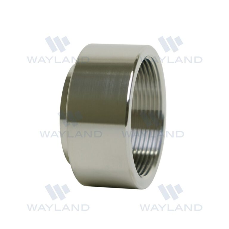 Weld x Female Npt Adapter (22WB) – Wayland
